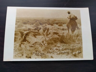 1937 Jackrabbit Chasing Cowboy on Horse Real Photo Signed Howard ...