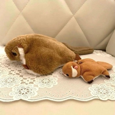 Flying Squirrel Plush Set: Large and Small, Takao Mountain (Small ...