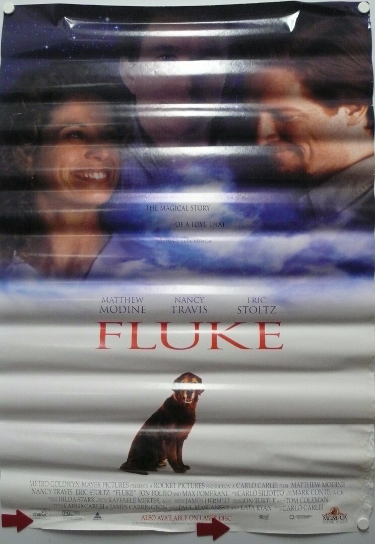 FLUKE 1995 Matthew Modine, Nancy Travis, Eric Stoltz, Jon Polito, Max ...