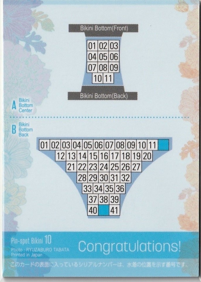Ichika Minashi Vol.2 32/41 Pinspo Bikini Card 10 Back Super Trading | eBay