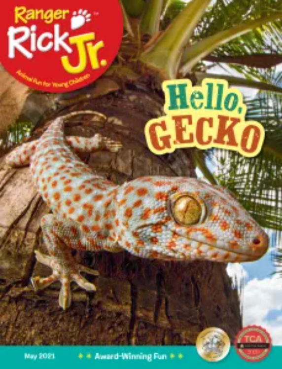 RANGER RICK MAGAZINE | MAY 2021 | HELLO GECKO | eBay