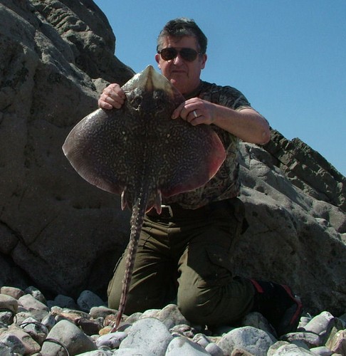 Dingle Dongle Power Rig | eBay UK