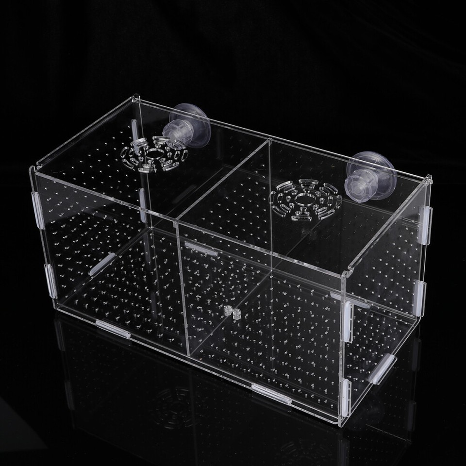 Birthing Tank Fish Aquarium Fish Breeding Fish Net Breeder Aquarium ...