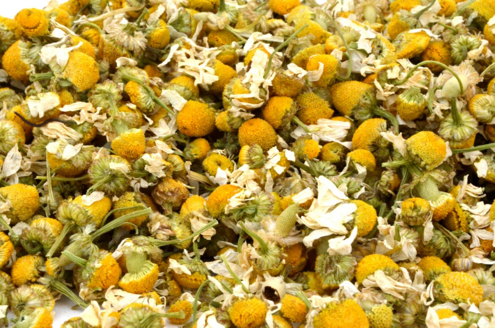 Chamomile Herbal Loose Leaf Tea - Highest Quality Chamomile Dried ...