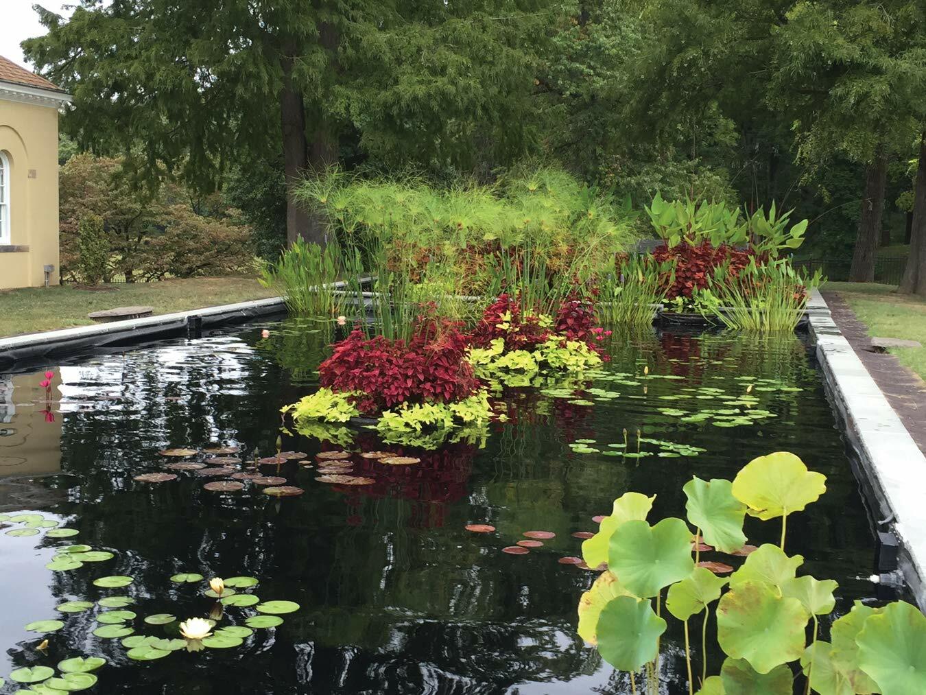 Mini Wetland Raft 27x24x2 Inch Floating Island for Ponds Protects ...