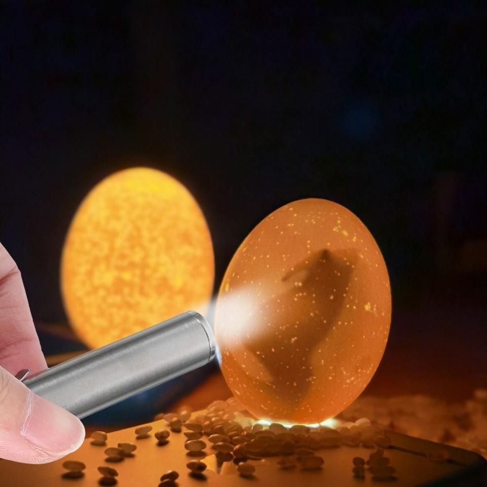 High-intensity Egg Candler for Incubation LED Light Tester Candling ...