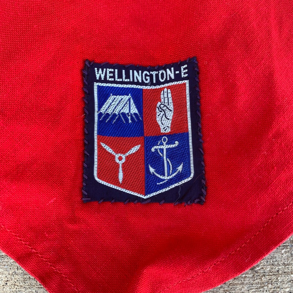Wellington Australia 1980s Girl Guide Scarf Patch Girl Scout Collectable Uniform | eBay