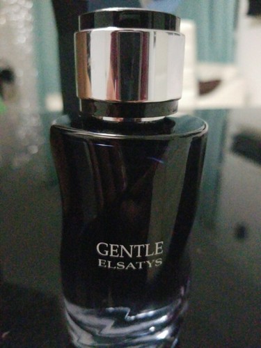 Reyane Tradition Gentle Elsatys 100 ml Men's Eau de Parfum Spray for ...