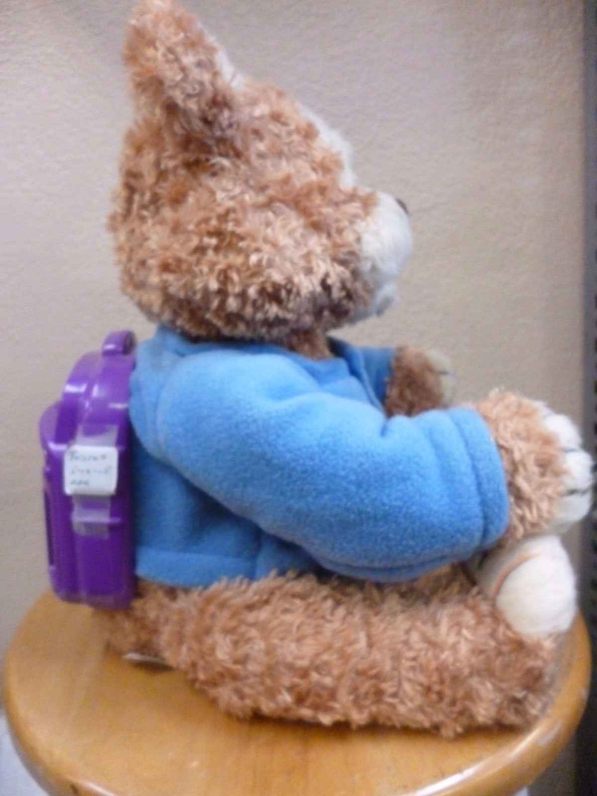 TJ Bearytales Teddy Bear Playskool Talking Moving Stuffed Animal Boys ...