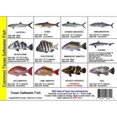 Other - Fish Measure