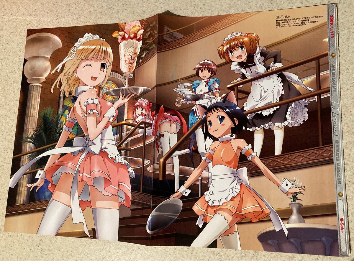 Saki Anime Saki