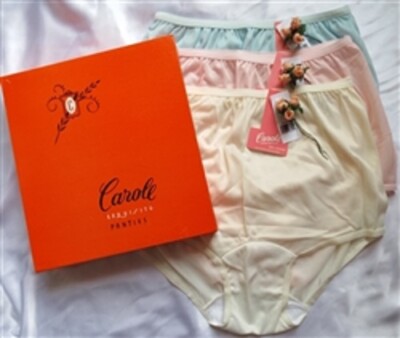 Size 12 (5XL) 100% Acetate Panties Carole Briefs Vintage-New Blue Pink ...