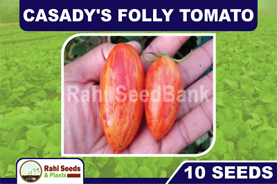 Casady's Folly Tomato - 10 Seeds! | eBay Australia