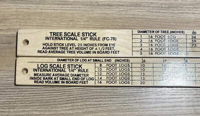 2- Tree and Log Scale Stick International 1/4” Rule (FC-78) Scale | eBay