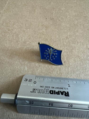 Indiana Flag, India State Flag Lapel Pin | eBay