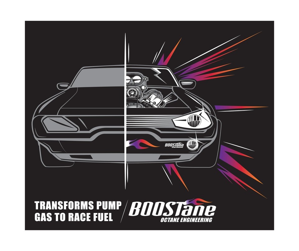 BOOSTane Shot Octane Booster (10 Pack) 10 | eBay