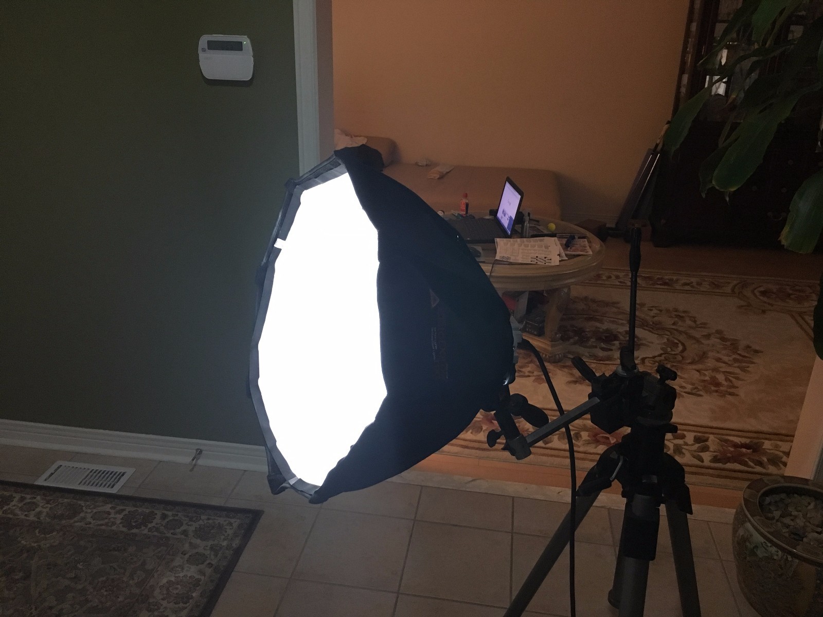 Photoflex FVBSL3200 Starlite QL with Octodome nxt: Extra Small Kit | eBay