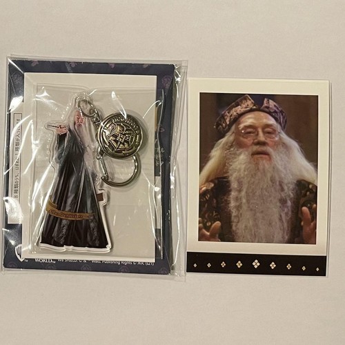 Harry Potter Dumbledore Charm | eBay