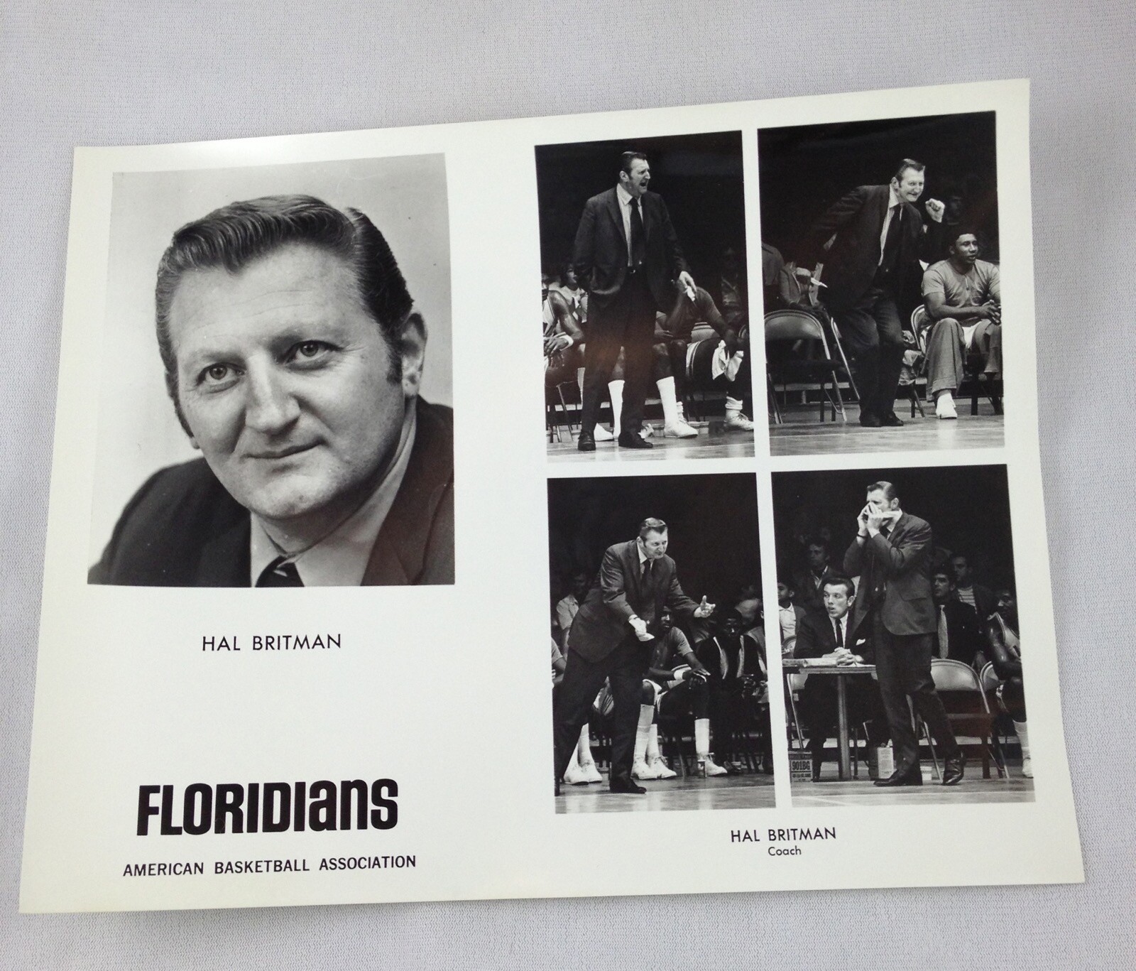 ABA 1971-72, Hal Britman, The Floridians Basketball Photo 8x10 | eBay