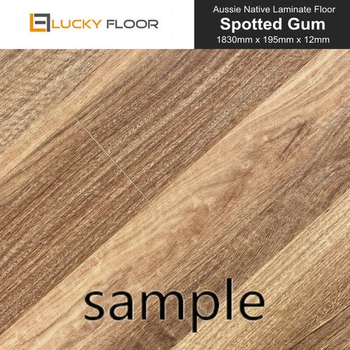 12mm Matt AC4 Spotted Gum Sample Laminate Flooring Floating Floor ...