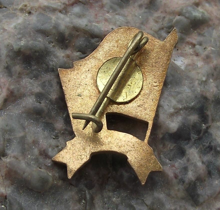 Antique Vointa FC Football Club Bucharest Romania Soccer Flag Pin Badge ...