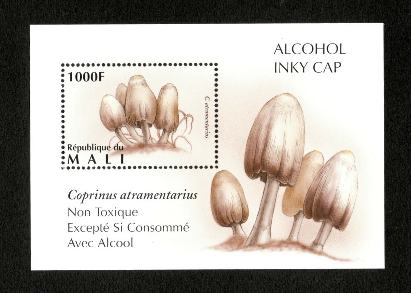 Mali 1995 - Mushroom, Alcohol Inky Cap - Souvenir Sheet - MNH | eBay