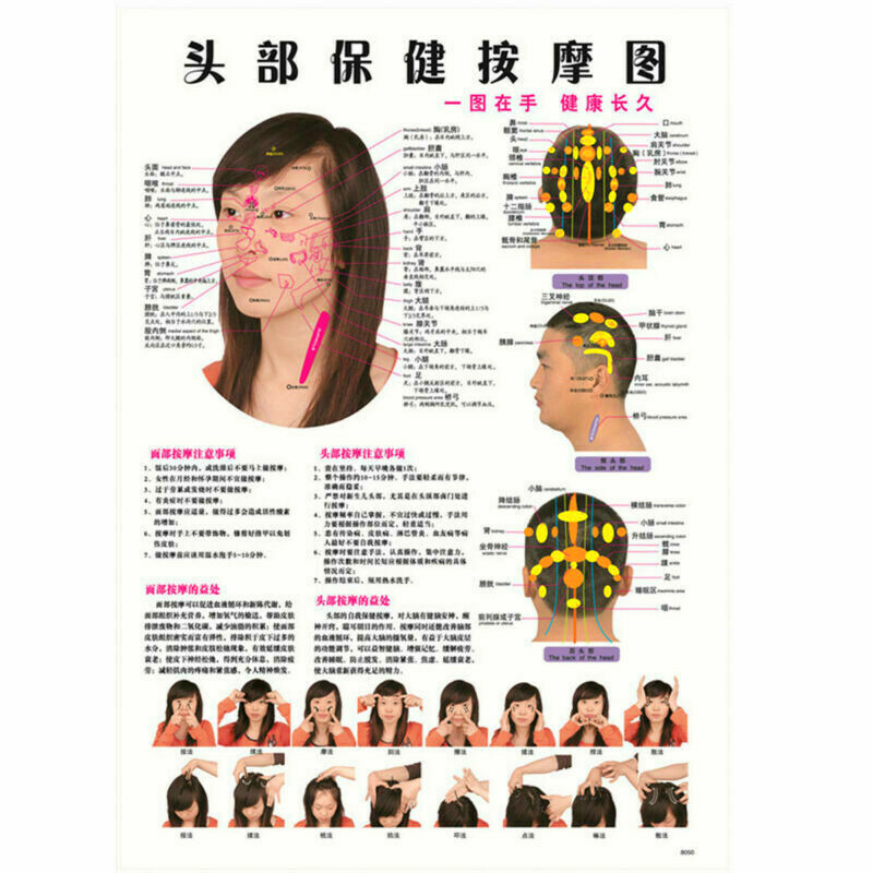 Whole body English Acupuncture Meridian Acupressure Points Poster Chart ...