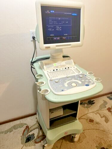Biosound Esaote Mylab 20 Plus Ultrasound and printer | eBay