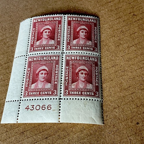 # 246 NEWFOUNDLAND PLATE BLOCK MINT N H | eBay