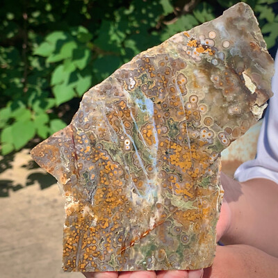 325G Natural Ocean Jade Crystal Tablet Large Sample Treatment - Museum ...