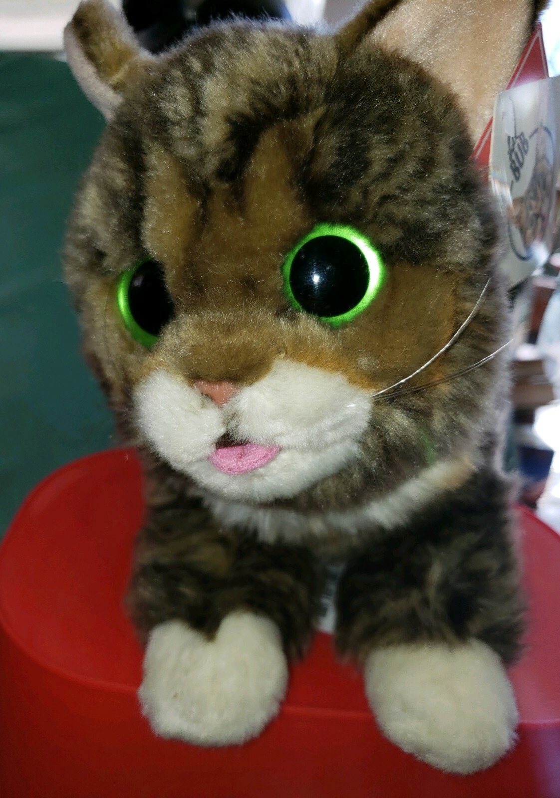 Lil Bub Cuddlebarn Cat Plush Toy, Stuffed Animal | eBay