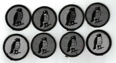 Lot of 8 RAVEN Patrol Patches Modern Tan Authentic Ready To Use ...