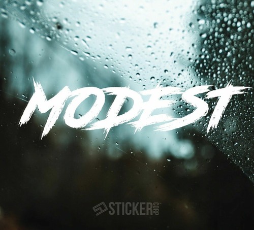 MODEST car Decal Sticker [ jdm euro drift slammed race vinyl accent] | eBay
