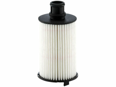 For 2018-2020 Land Rover Range Rover Velar Oil Filter Mann 81533VN 2019 ...