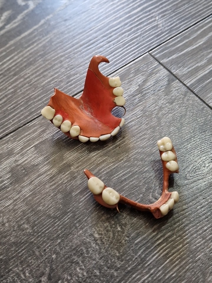 Vintage lower False Teeth Dentures upper lowers curiosity rare. | eBay UK