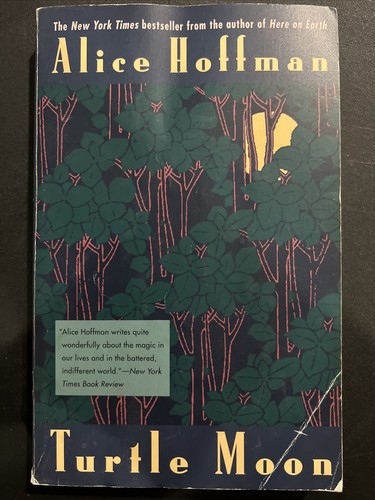 Turtle Moon , Hoffman, Alice | eBay