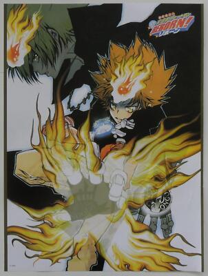 Hitman Reborn! - Tsunayoshi Sawada - Poster (# P1-9890) - Anime/Manga ...