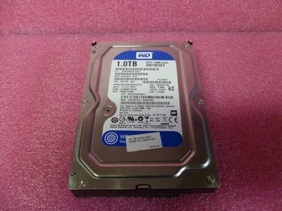 WESTERN DIGITAL WD10EZEX-60M2NA0 1TB SATA HARD DRIVE DCM:HANMKT2CHB | eBay
