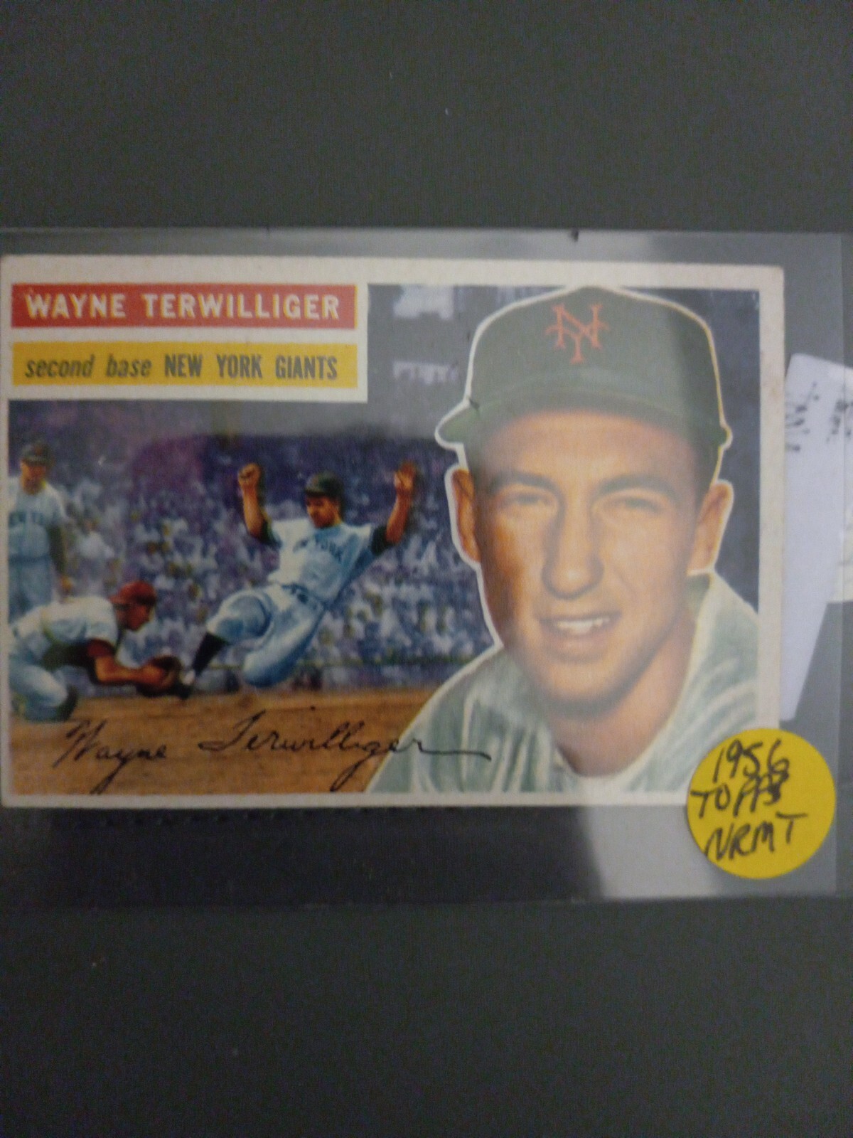 1956 Topps #73 Wayne Terwilliger Willard NY New York Giants White Back ...