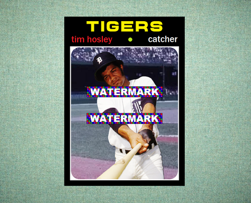 Tim Hosley Detroit Tigers 1971 Style Custom Baseball Art Card | eBay