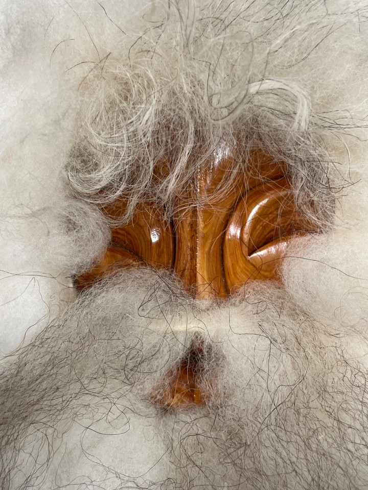 NATIVE ALASKAN BLACK COTTONWOOD BARK CARVING REINDEER FUR / ICELANDIC ...