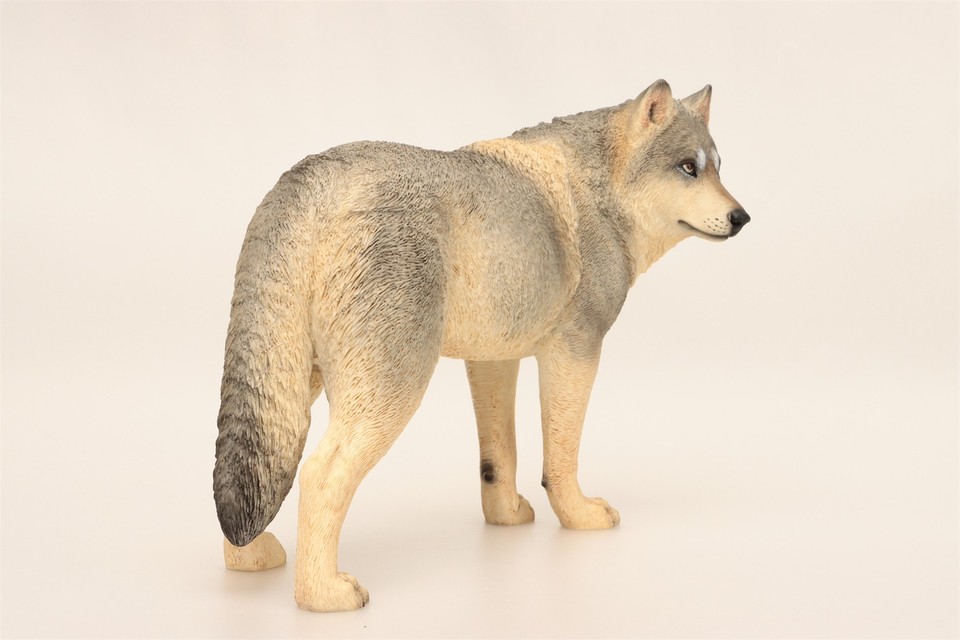 JXK 1:6 Scale Steppe Wolf Model Wild Animal Figure Toy Collection ...