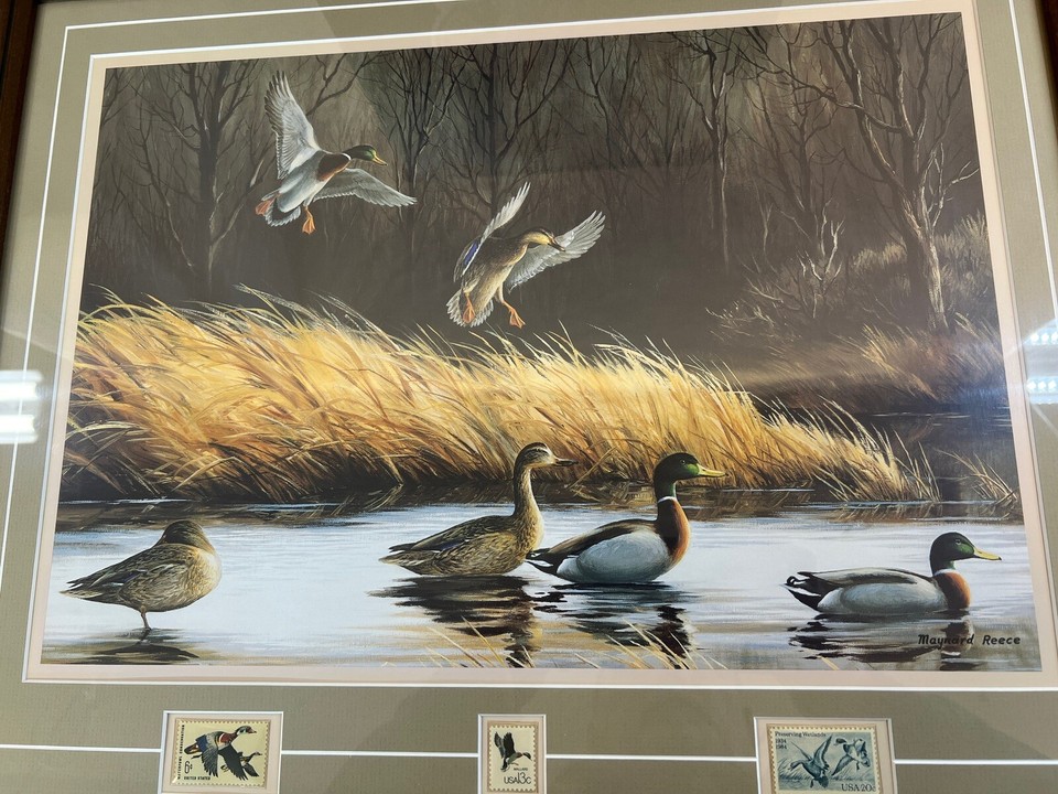 Shallow Pond Mallards by Maynard Reece Framed Wildlife Preservation ...