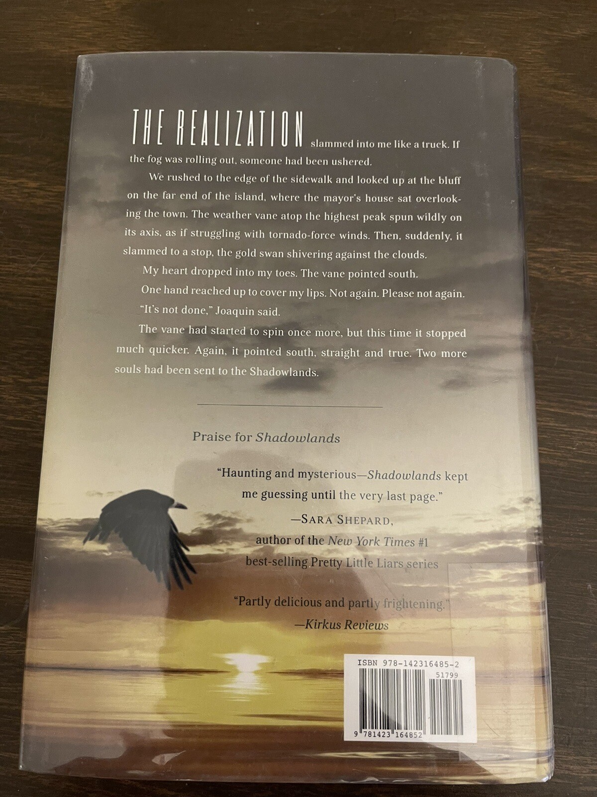 Shadowlands Ser.: Endless by Kate Brian (2014, Hardcover) for sale ...