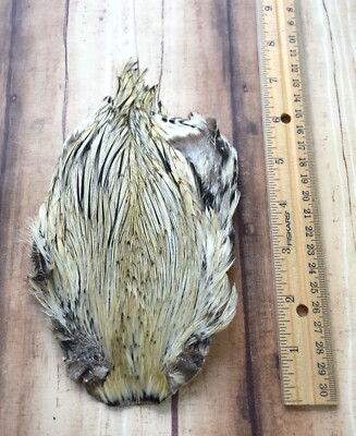 Lot 251, Natural India Rooster Streamer Neck Cape Feathers | eBay