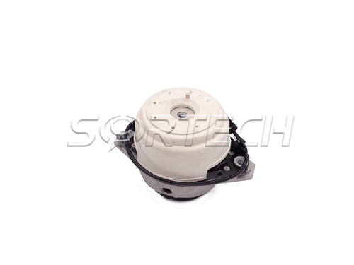 Left & Right Engine Mount for Mercedes 1662406817 1662406917 W166 GL350 ...