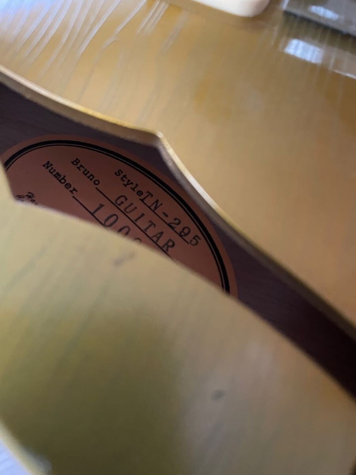 Electric Guitar Bruno TN-295 Thinline Gold Top Flamed Top | eBay