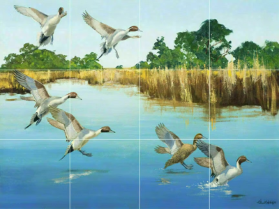 Mallards Landing In Timber