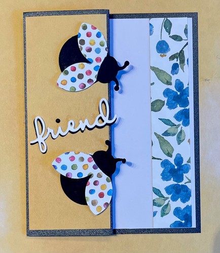 4 Card Kit Stampin Up Friend HELLO LADYBUG Awash in Beauty DSP DIY ...