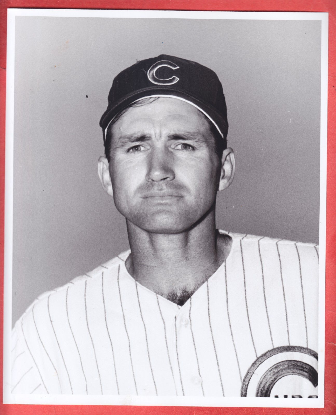 1959 CHICAGO CUBS 8 X 10 GLOSSY TEAM ISSUE AL DARK | eBay